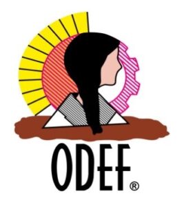 Inicio - ODEF ONGD